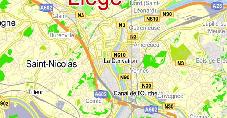 City Map Liege Vector Urban Plan Adobe Illustrator Editable Street Map