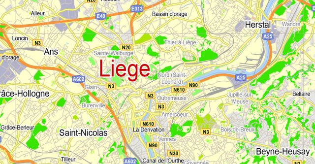 City Map Liege Vector Urban Plan Adobe Illustrator Editable Street Map