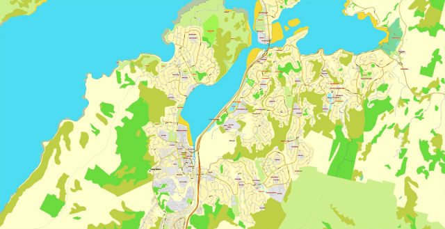 Wellington Printable PDF Map, New Zealand, exact vector street City ...