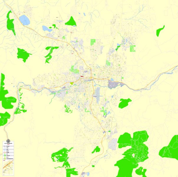 Reno Printable Map, Nevada, US, exact vector Map City Plan 100 meters ...