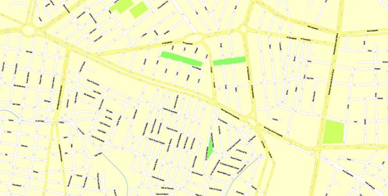 Leon Printable Map, Mexico exact vector Map street G-View City Plan ...