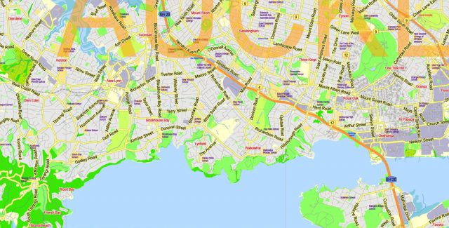 Auckland PDF Map Grande Area New Zealand, exact vector City Plan scale ...