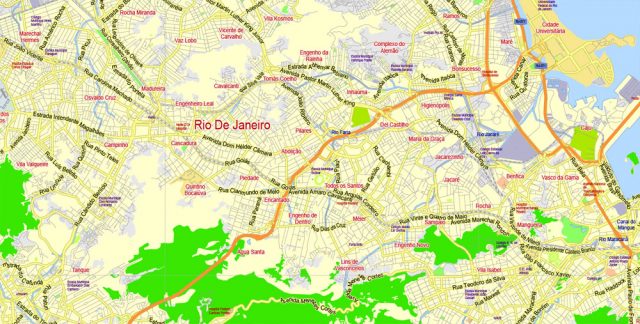 Rio de Janeiro Brazil Printable Map exact vector City Plan scale 1: ...