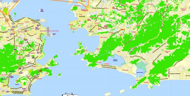 Rio de Janeiro Brazil Printable Map exact vector City Plan scale 1: ...