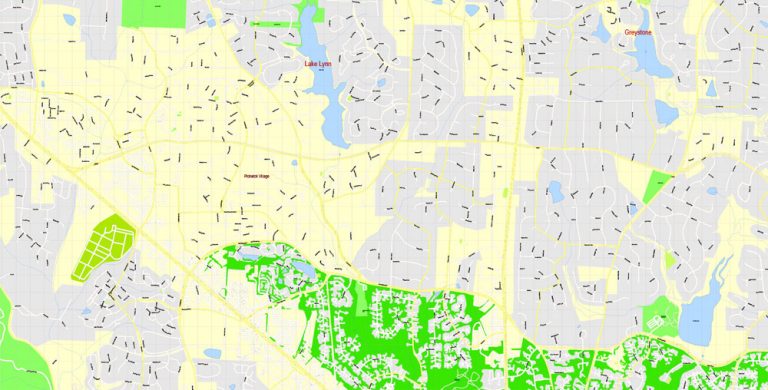 Raleigh North Carolina Map, Printable Vector exact vector City Plan ...