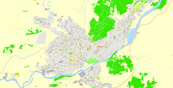 City Map Temuco Vector Urban Plan Adobe Illustrator Editable Street Map