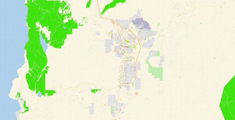 Carson City Nevada US Map Vector Exact City Plan detailed Street Map ...