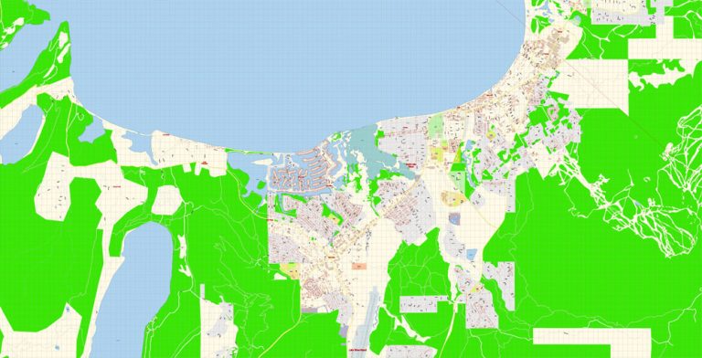 Carson City Nevada US Map Vector Exact City Plan detailed Street Map ...