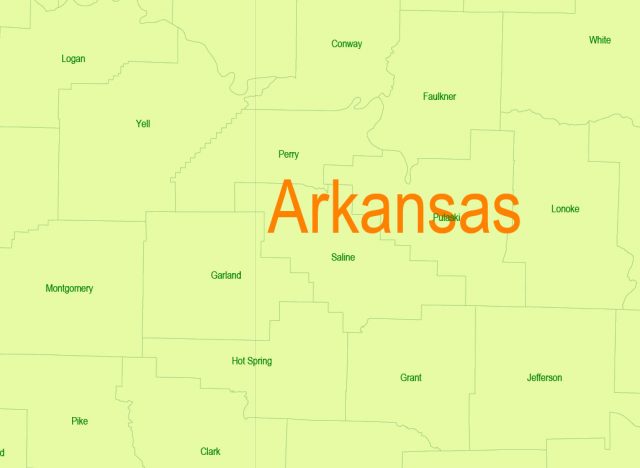 _Texas + Louisiana Counties PDF Map Vector Exact State Plan detailed ...