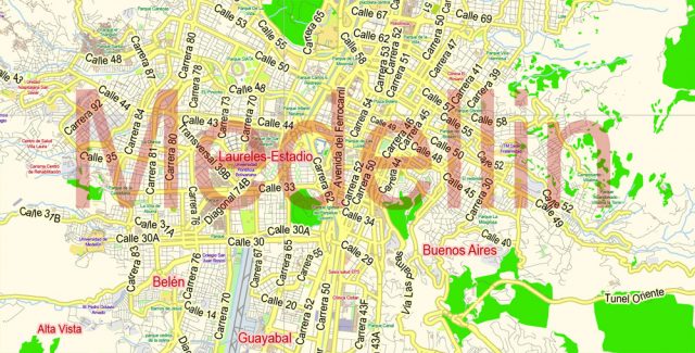 Medellin Colombia PDF Map Vector Exact City Plan Low Detailed Street ...