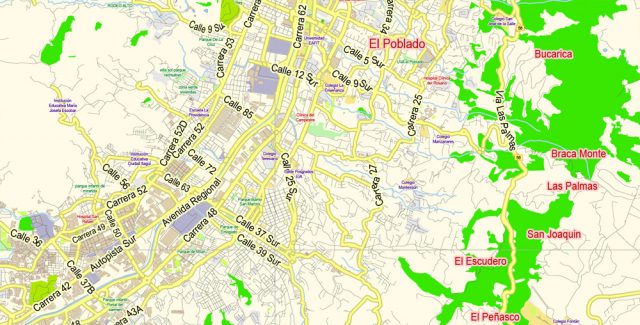 Medellin Colombia PDF Map Vector Exact City Plan Low Detailed Street ...