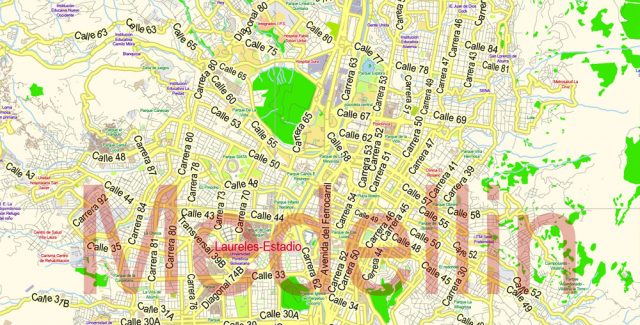 Medellin Colombia PDF Map Vector Exact City Plan Low Detailed Street ...