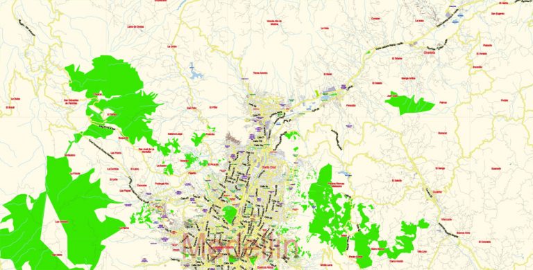 Medellin Colombia PDF Map Vector Exact City Plan Low Detailed Street ...