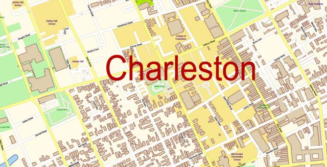 Charleston South Carolina US Map Vector Exact City Plan High Detailed ...