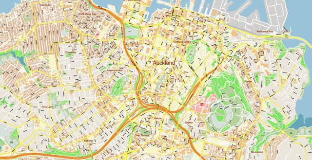 Auckland New Zealand PDF Vector Map Exact High Detailed City Plan ...