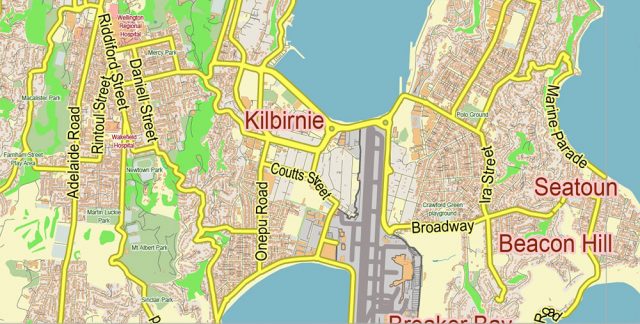 Wellington New Zealand Map Vector City Plan Low Detailed (for small ...