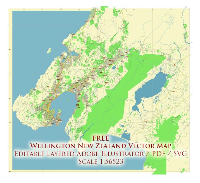 Wellington New Zealand Vector Map Free Editable Layered Adobe ...