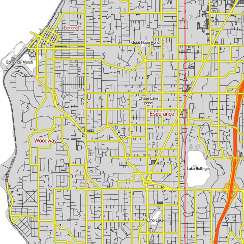 Seattle Washington US Map Vector City Plan Low Detailed (simple white ...
