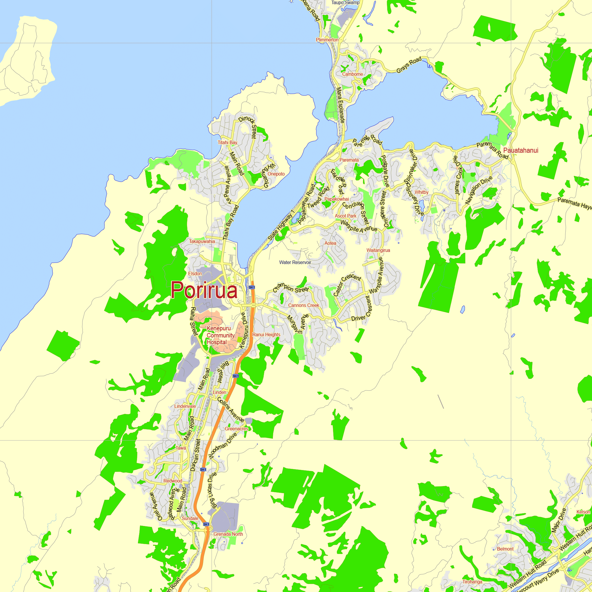 Wellington New Zealand editable layered PDF Vector Map