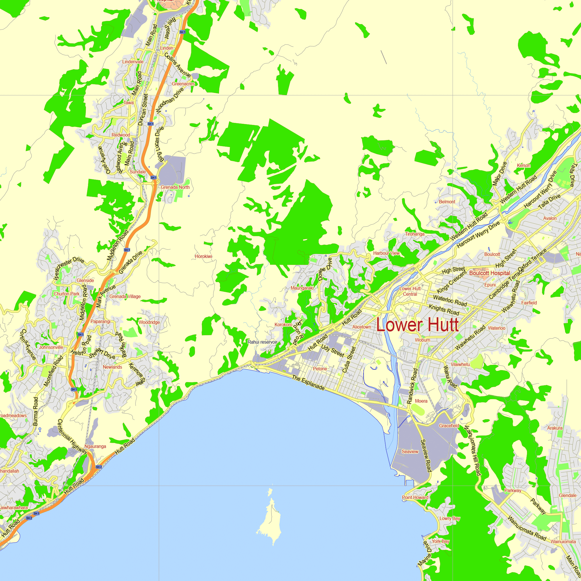 Wellington New Zealand editable layered PDF Vector Map