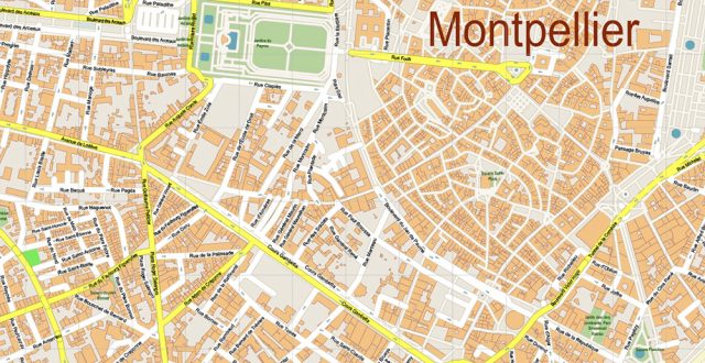 Montpellier France City Vector Map Exact High Detailed Urban Plan ...