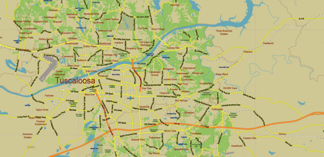Dothan Alabama US 150 miles radius area Vector Map high detailed All ...